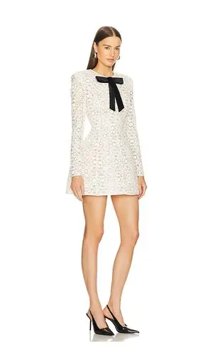 BRONX BANCO Courtney Mini Dress With Floral Mesh Fabric And Satin Tie Accent