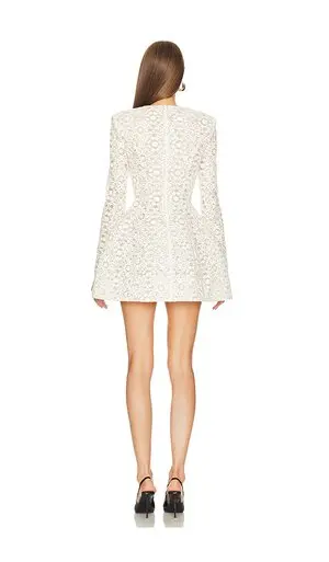 BRONX BANCO Courtney Mini Dress With Floral Mesh Fabric And Satin Tie Accent