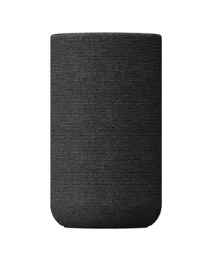 SONY Wireless Rear Speakers With Built-in Battery Pair