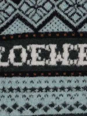 Loewe Panda Intarsia Knit Jumper