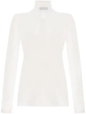 Fabiana Filippi Roll Neck Sweaters For Women
