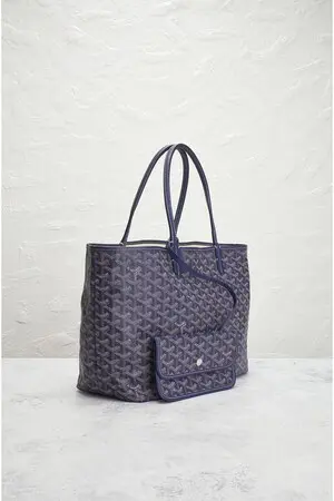 Goyard Saint Louis Pm Tote Bag