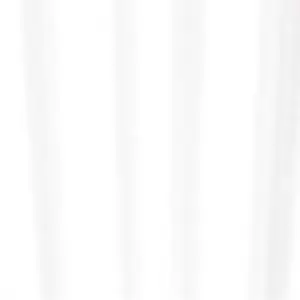 LSA INTERNATIONAL Aurelia Flute Glasses