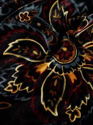 Etro Floral Print Velvet Dress
