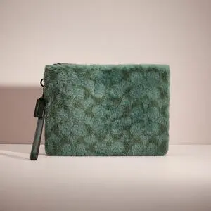 COACH Charter Pouch In Signature Shearling - Pistachio