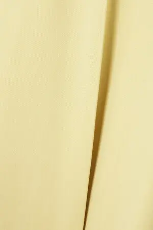 Proenza Schouler Twill Wide-leg Pants