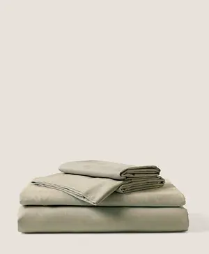 PACT Organic Room Service Sateen Sheet Set - Spray Green