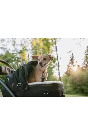 TAVO PETS Maeve™ Small Flex Pet Car Seat