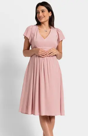 Seraphine Flutter Sleeve Maternity/nursing Dress - Blush