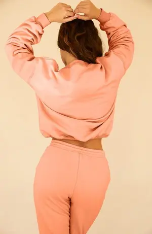 DIPPIN DAISY'S Dd Wave Long Sleeve Crewneck - Pink Sands