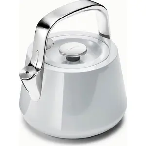 CARAWAY Whistling Tea Kettle - Gray