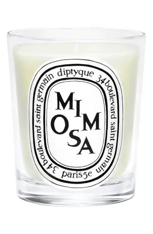 DIPTYQUE Mimosa Scented Candle - No Color