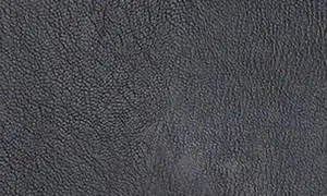 Blanknyc Faux Leather Midi Skirt