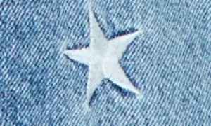 PISTOLA Mandy Star Embroidered Oversize Denim Shirt Jacket