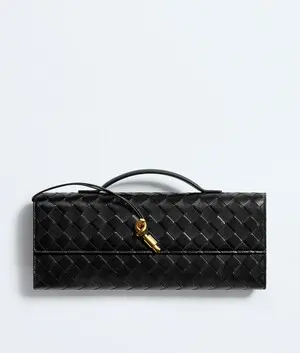 Bottega Veneta Andiamo Small Clutches