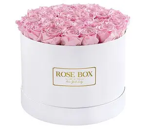 ROSE BOX NYC Rose Box Preserved Roses Large Round White Bo X - One-color