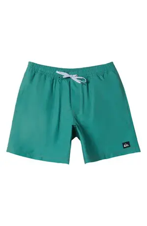 Quiksilver Everyday Solid Volley Swim Trunks Frosty Spruce