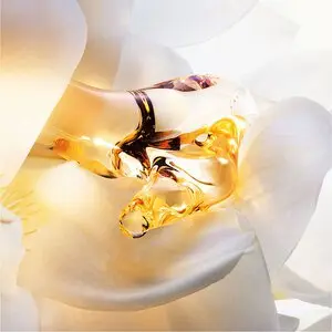 Dior J'adore Parfum D'eau - Na