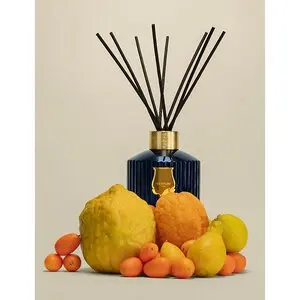 TRUDON Belles Matières Reggio Diffuser 350ml
