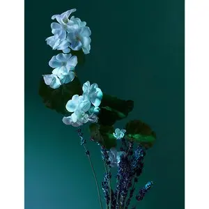 PENHALIGON'S A Balm Of Calm Eau De Parfum - One-color