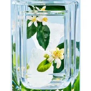 Prada Olfactories Un Chant D'amour Eau De Parfum