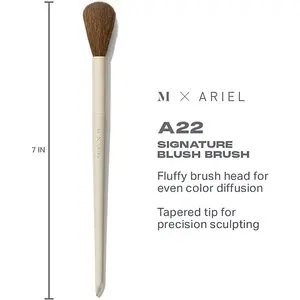 MORPHE X Ariel A22 Blush Brush