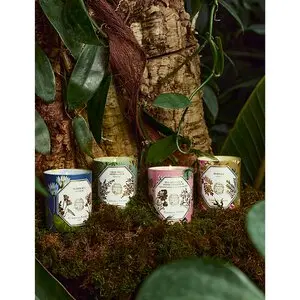 CARRIERE FRERES Pelargonium Geranium Scented Candle 185g