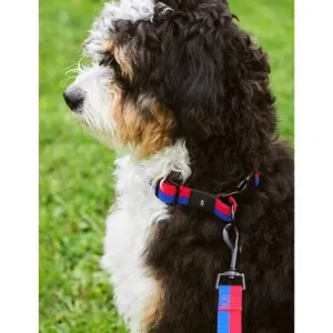 HAY Striped Flat Dog Collar - Red And Blue