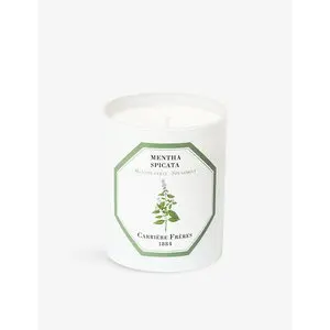 CARRIERE FRERES Mentha Spicata Scented Candle 185g - One-color