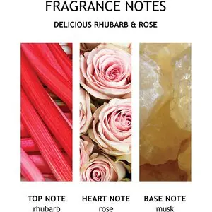 Molton Brown Delicious Rhubarb & Rose Shower Gel 300ml