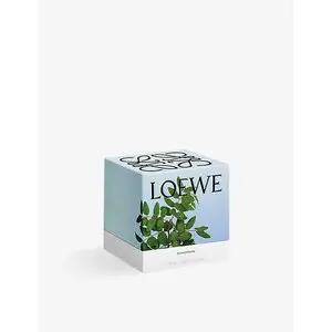 Loewe Incense Scented Candle 170g