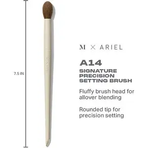 MORPHE X Ariel A14 Setting Brush