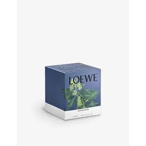 Loewe Ivy Large Scented Candle 2120g