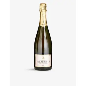 DELAMOTTE Rosé Champagne - One-color