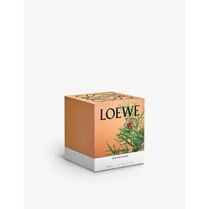 Loewe Cypress Balls Large Scented Candle 2120g