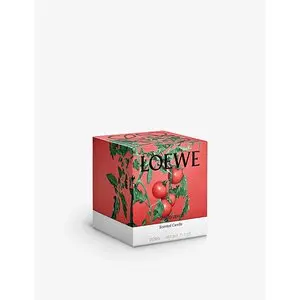 Loewe Tomato Leaves Large Scented Candle 2120g