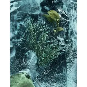 Moncler Les Sommets La Cordée Eau De Parfum - One-color