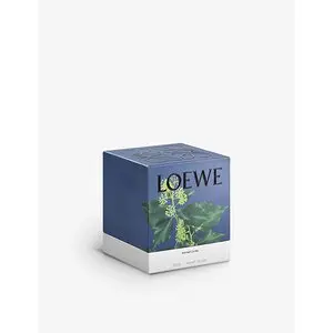 Loewe Ivy Medium Scented Candle 1.15kg
