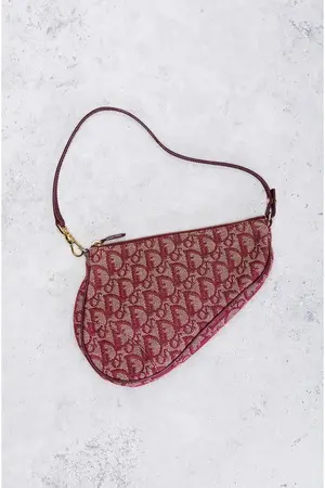 Dior Trotter Saddle Bag