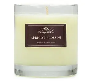 PATRICIA NASH Single Wick Fragranced 8oz Candle - One-color
