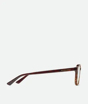 Bottega Veneta Classic Panthos Eyeglasses - Havana/transparent