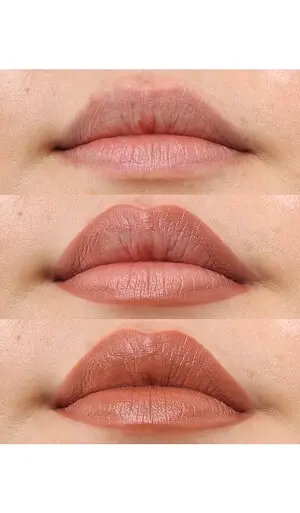 PROJECT LIP Lip Plump And Fill Up Liner