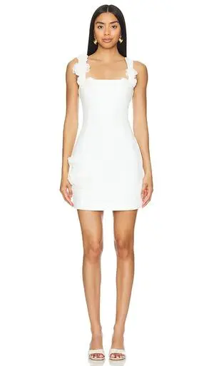 Elliatt Paneled Cocktail Dresses