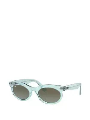 Ray-ban Wayfarer Oval Sunglasses