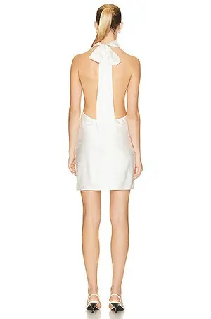 AEXAE Silk Mini Dress