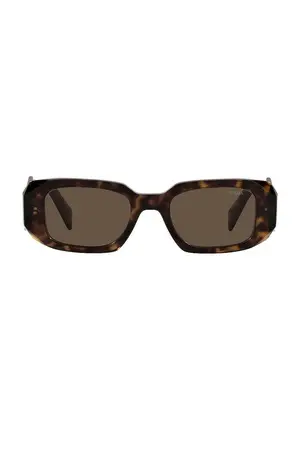 Prada Prada Scultoreo Narrow Sunglasses Havana