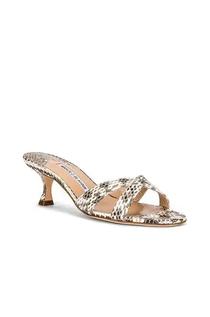 Manolo Blahnik Callamu 50 Mule Sandal