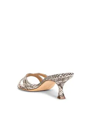 Manolo Blahnik Callamu 50 Mule Sandal