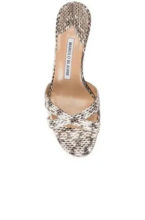 Manolo Blahnik Callamu 50 Mule Sandal
