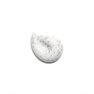 Chanel Le Masqueexfoliating Mask